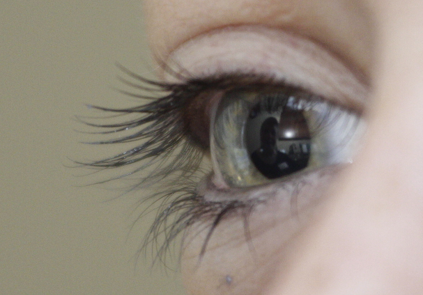 Lashes with flash: Dyeing, extensions and other procedures give the eye ...